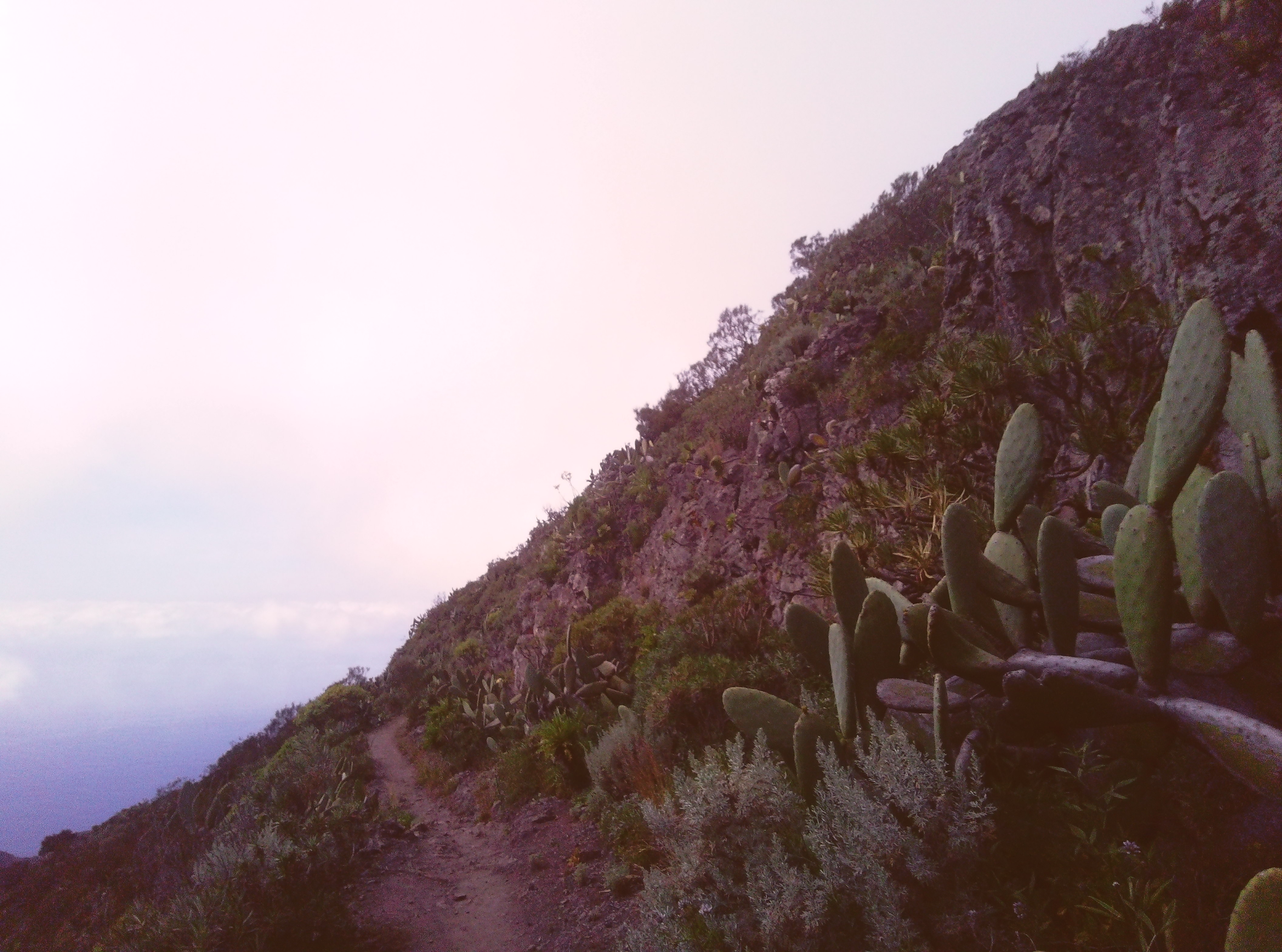 Portfolio - Ilan Valencius