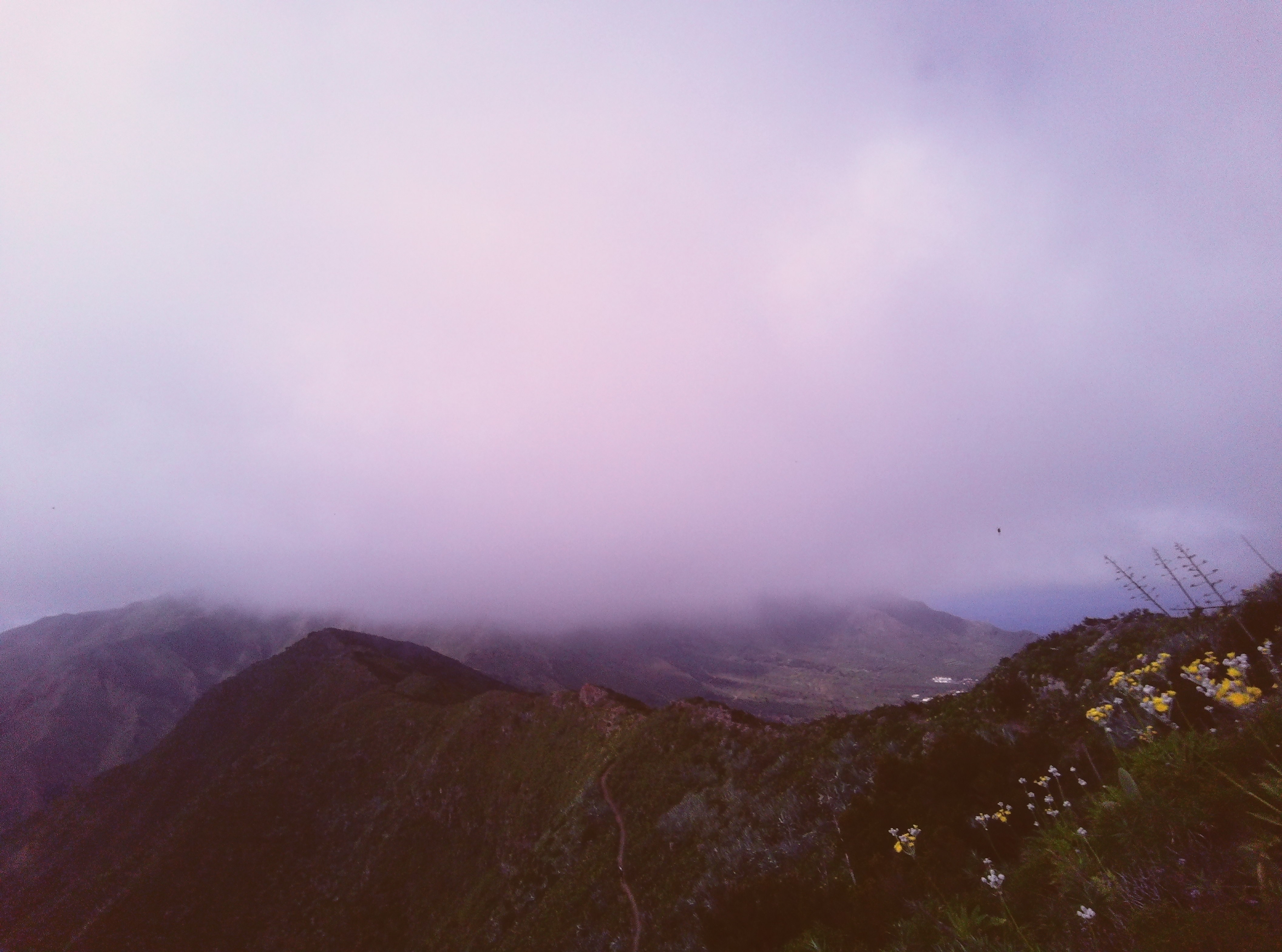 Portfolio - Ilan Valencius